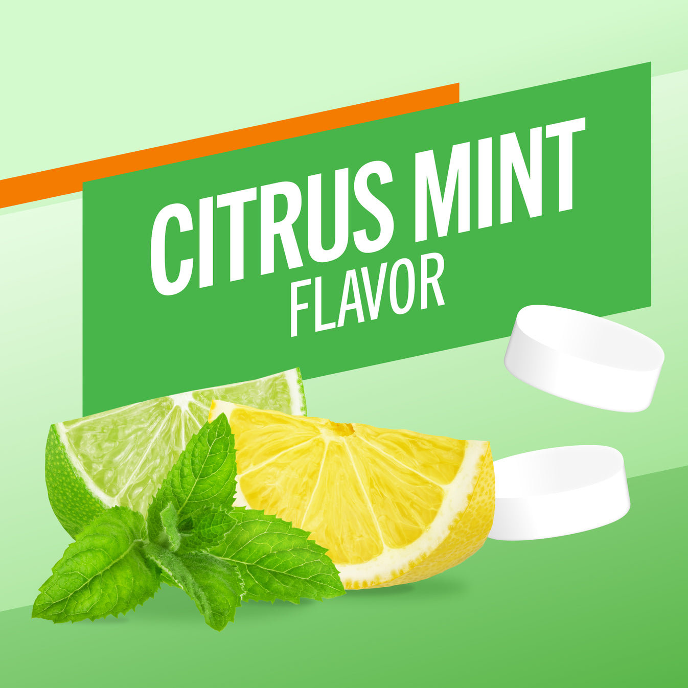 Fresh Breath Chewing Gum, Citrus Mint Flavor